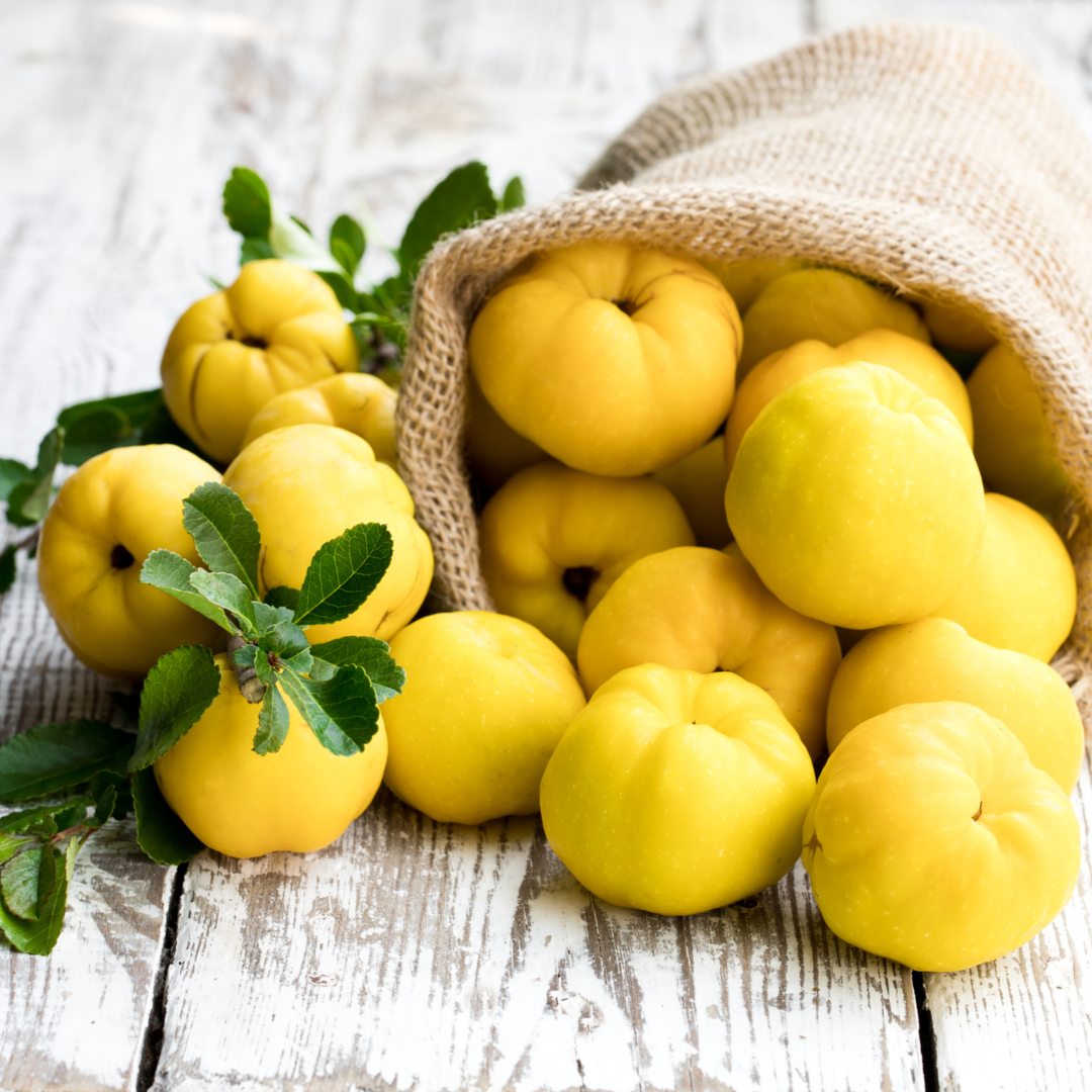 Shop Quinces Online | London Grocery