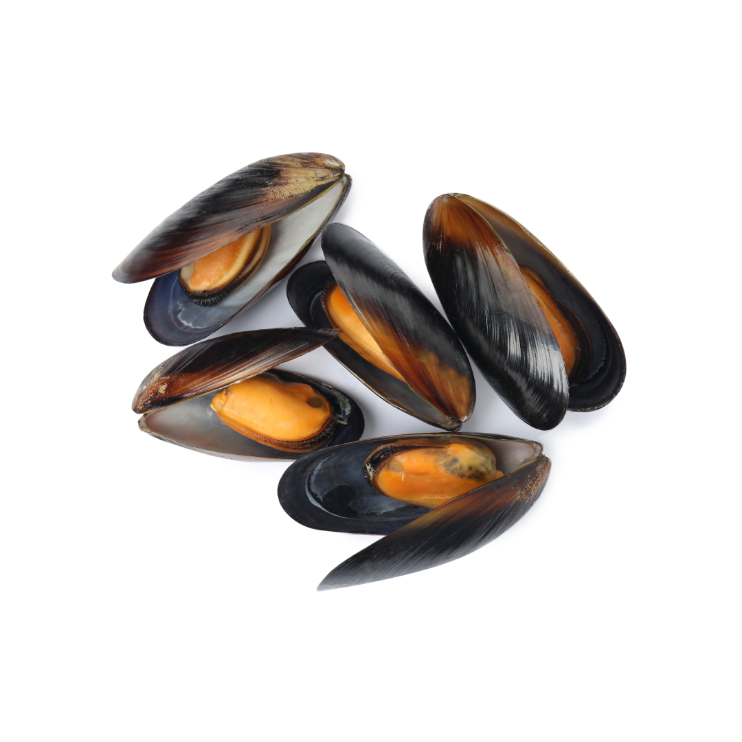 Buy Frozen Gold Whole Cooked Chilean Mussels 1kg x 5 Packs | London Grocery