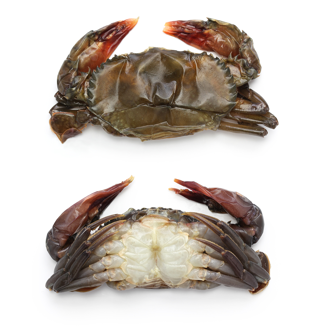 Buy Frozen Soft Shell Crabs Hotel 1kg x 4 Packs | London Grocery