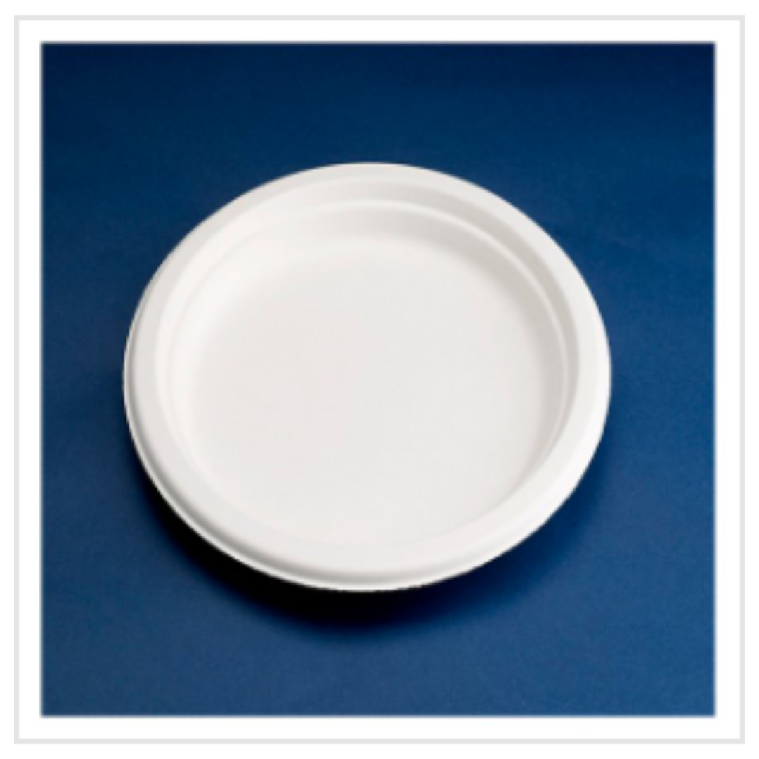Buy 3371 NATURE PLATE ROUND 24.5CM BIODEG. WHITE EXTRA LARGE 9x50(450 ...
