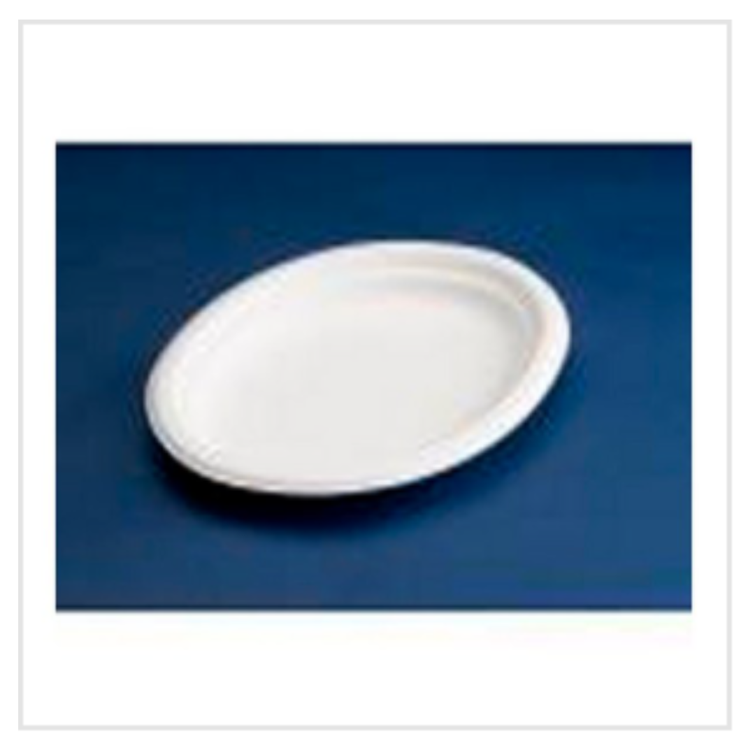 Buy 3380 NATURE PLATE OVAL LARGE 32x25CM BIODEG. WHITE 10x50(500) UKPLT ...