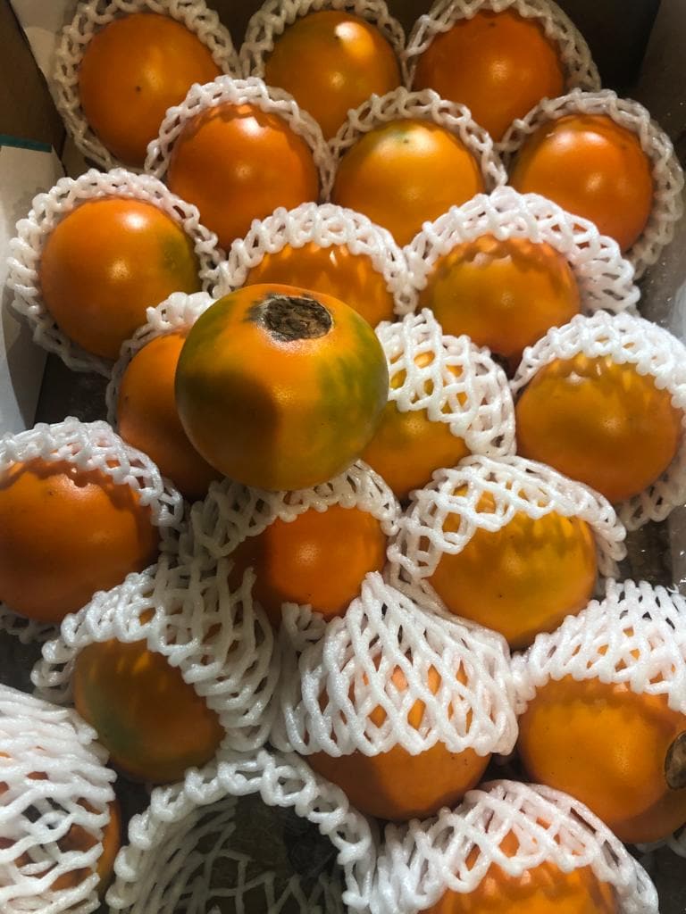 Fresh Colombian Lulo Fruit | London Grocery