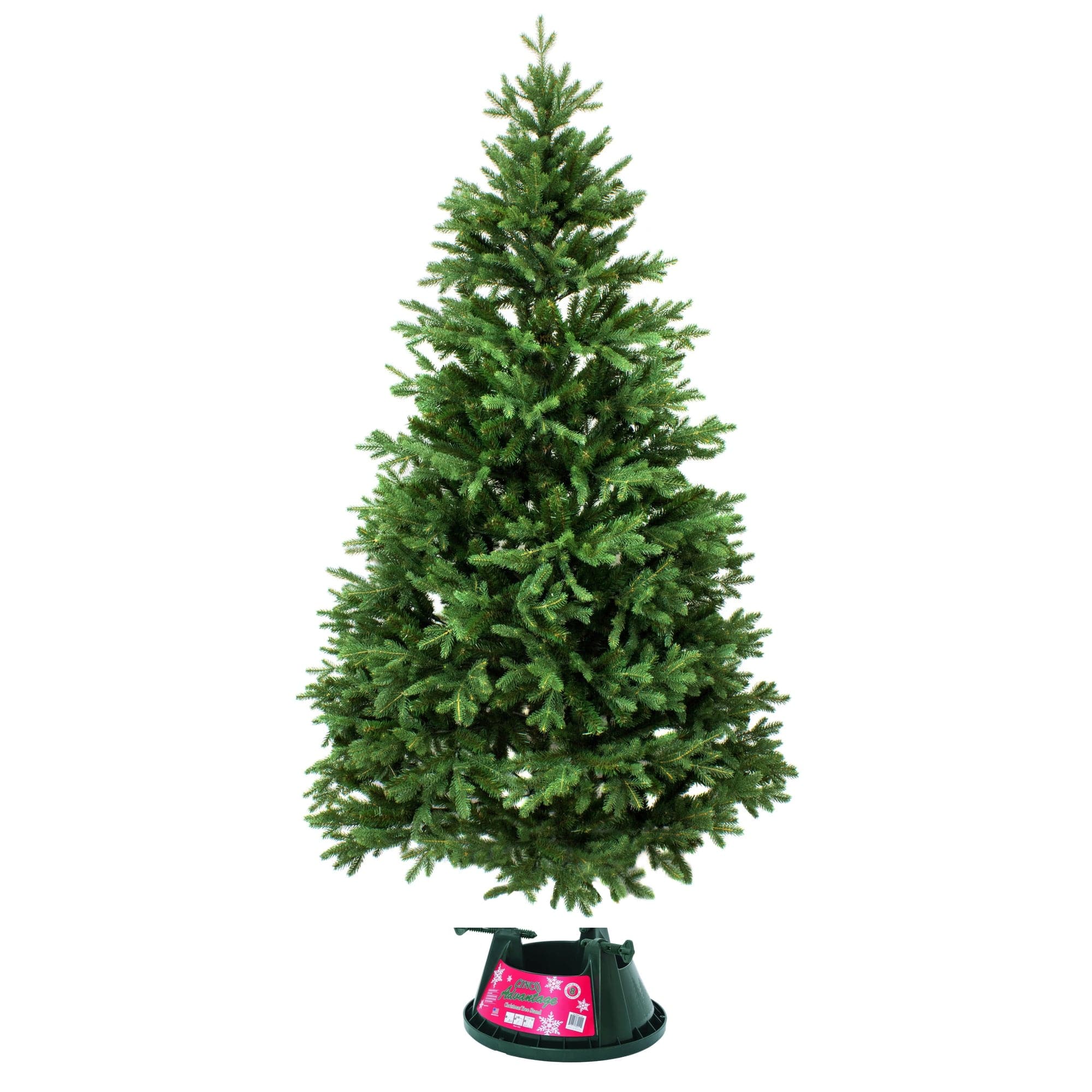 Buy Freshly Cut Live Christmas Tree with a Stand