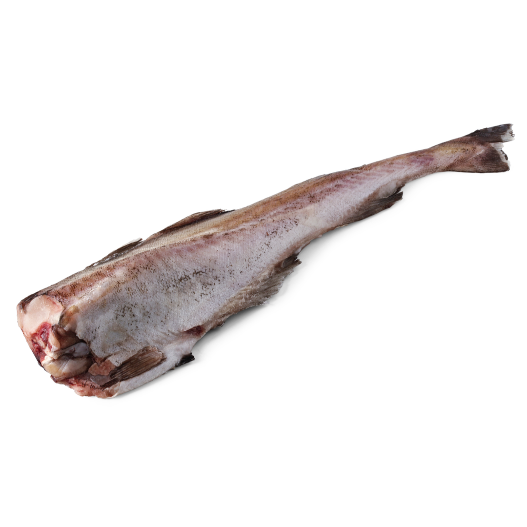 Fresh Pollock | London Grocery