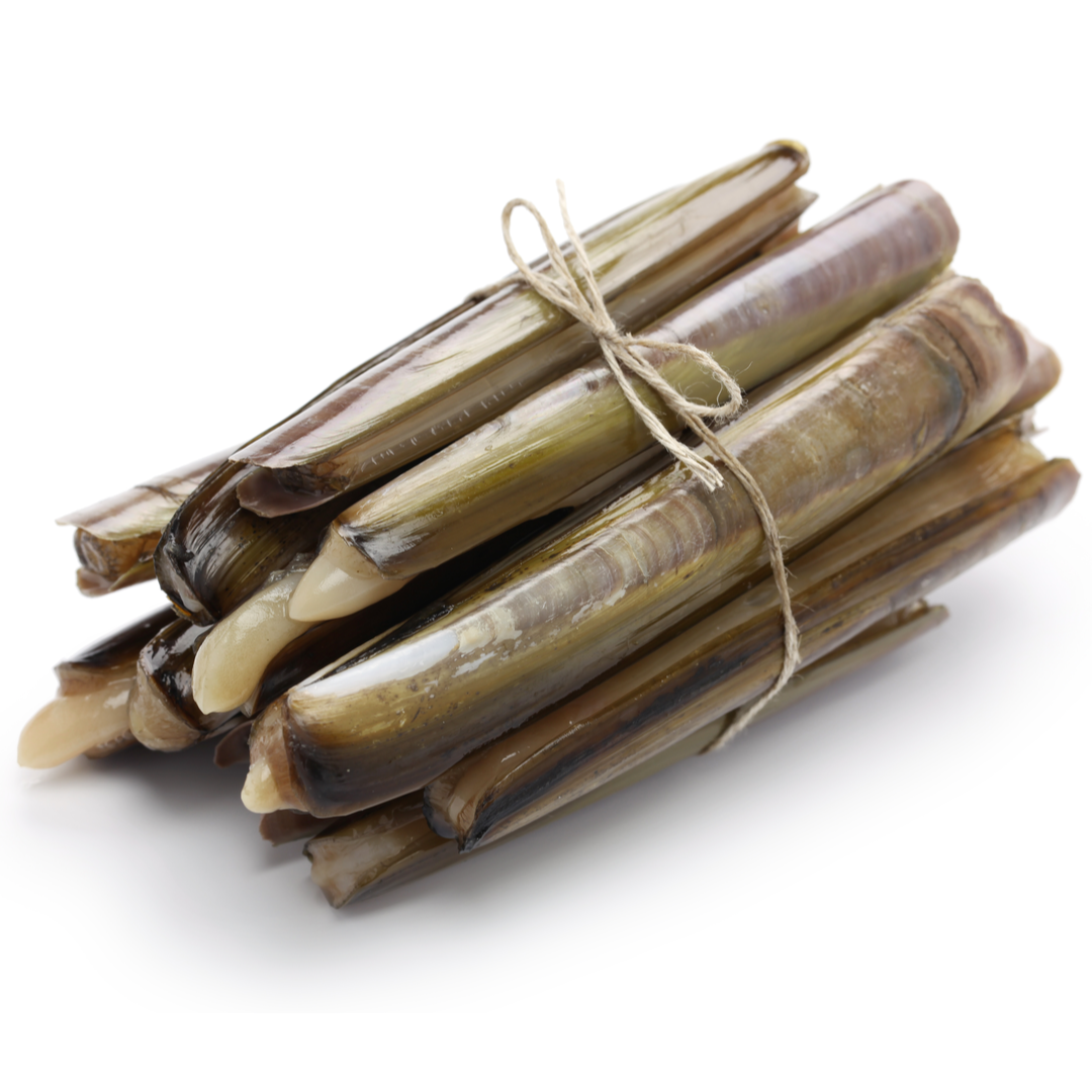 Fresh Razor Clams | London Grocery