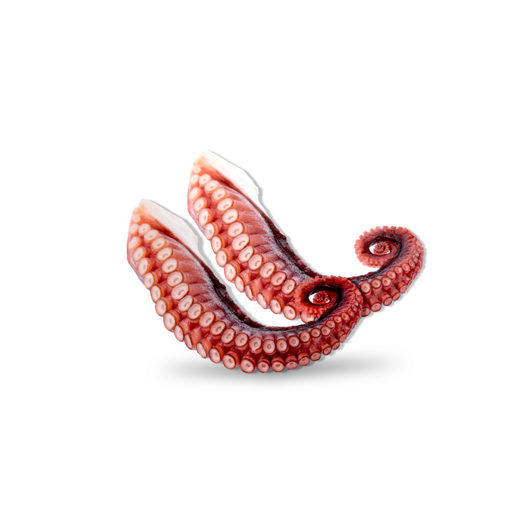 Frozen Cooked Octopus 1.5kg | London Grocery