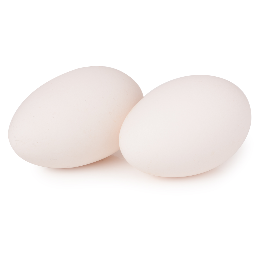 Shop Goose Egg 5 units Online | London Grocery