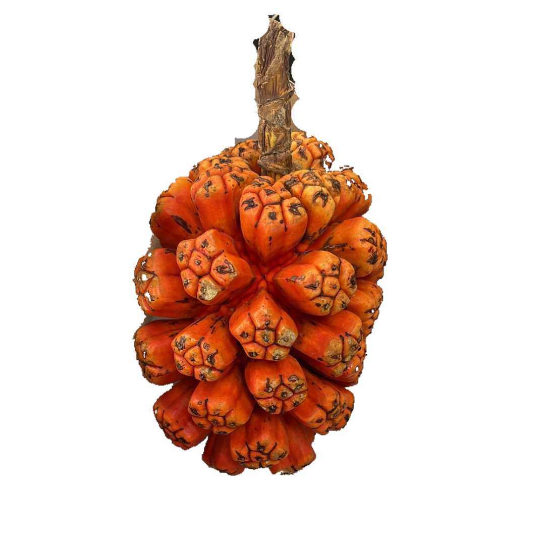 Hala Fruit | London Grocery