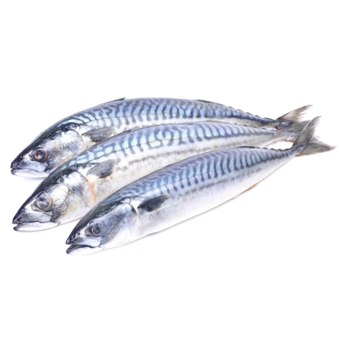 Mackerel Fish Delivery London | London Grocery Online