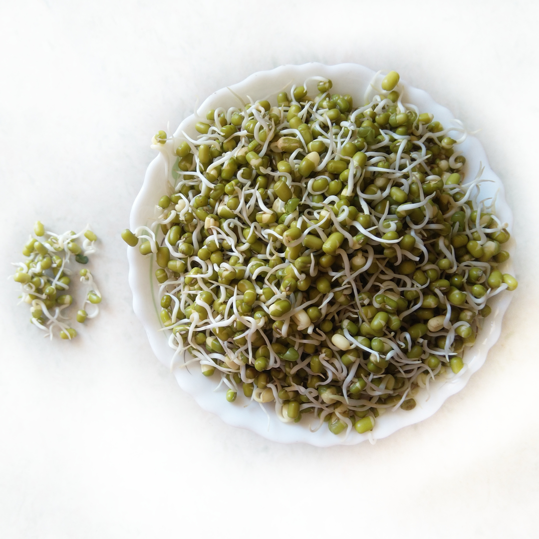Moong Sprout | London Grocery