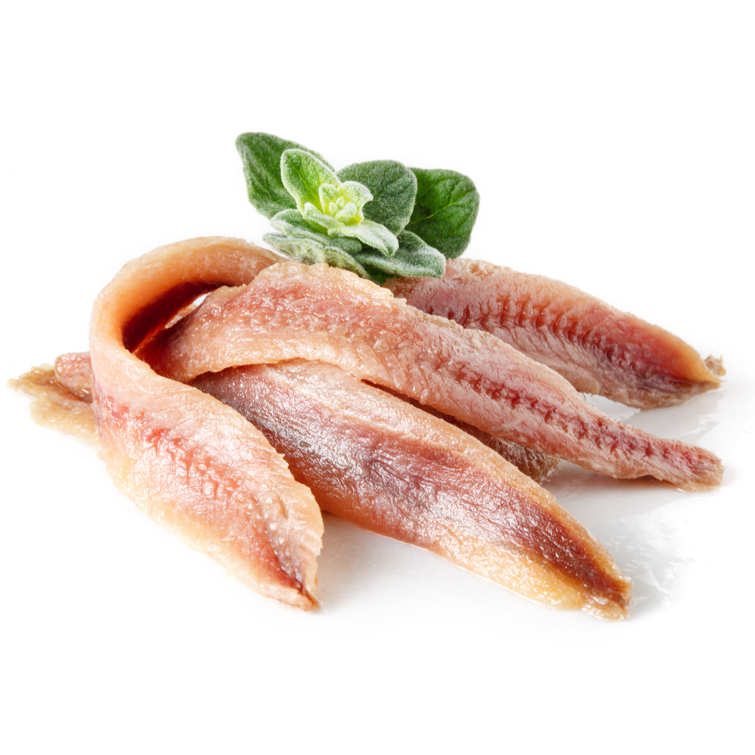 Salted Anchovy Fillets in Sunflower Oil | London Grocery