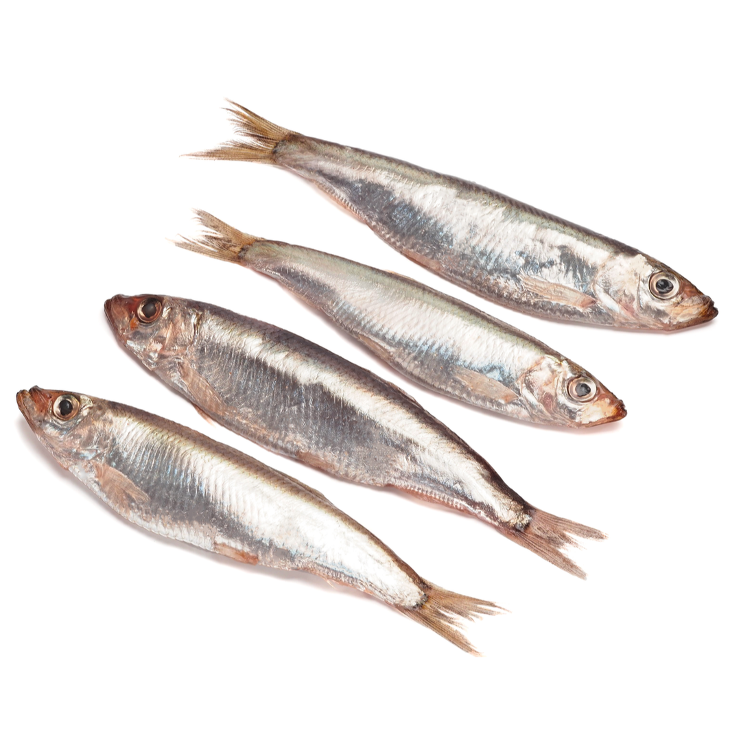 Sprat | London Grocery