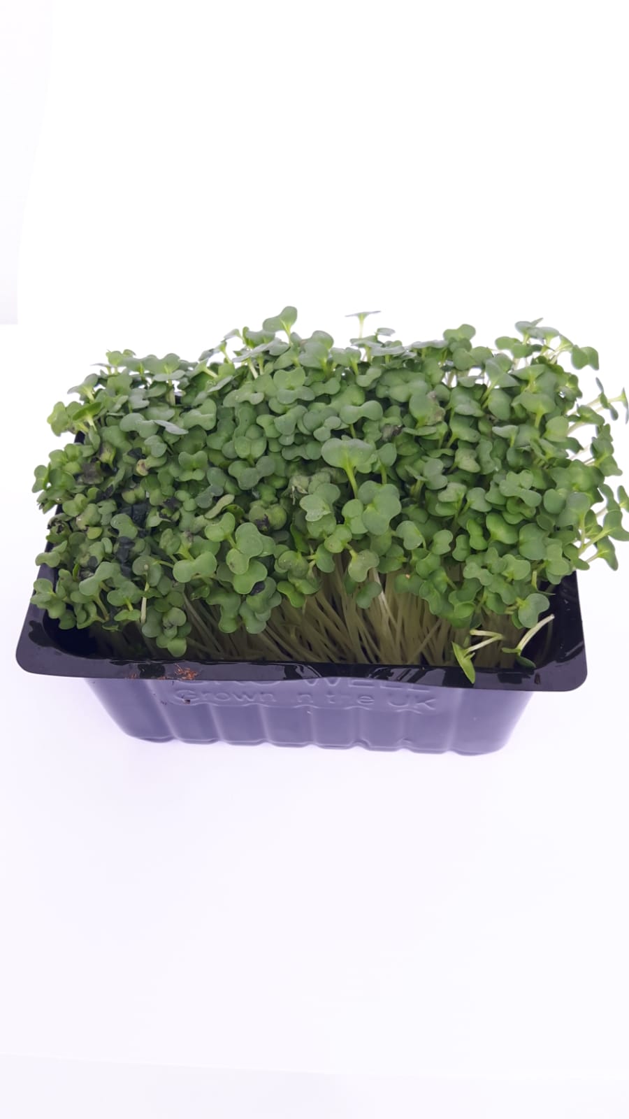 Shop Fresh Watercress Online | London Grocery