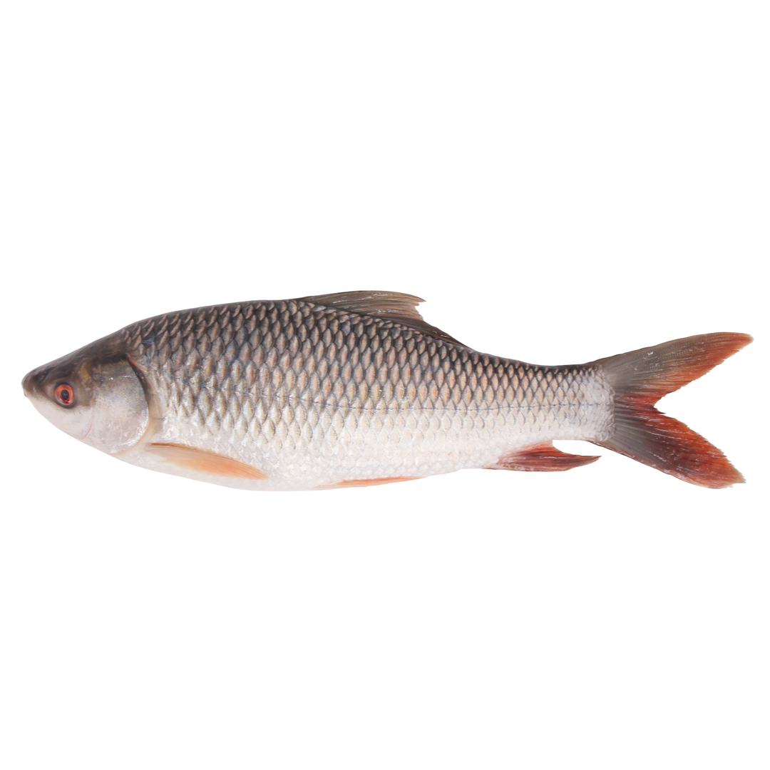 Whole Fresh Rohu | London Grocery