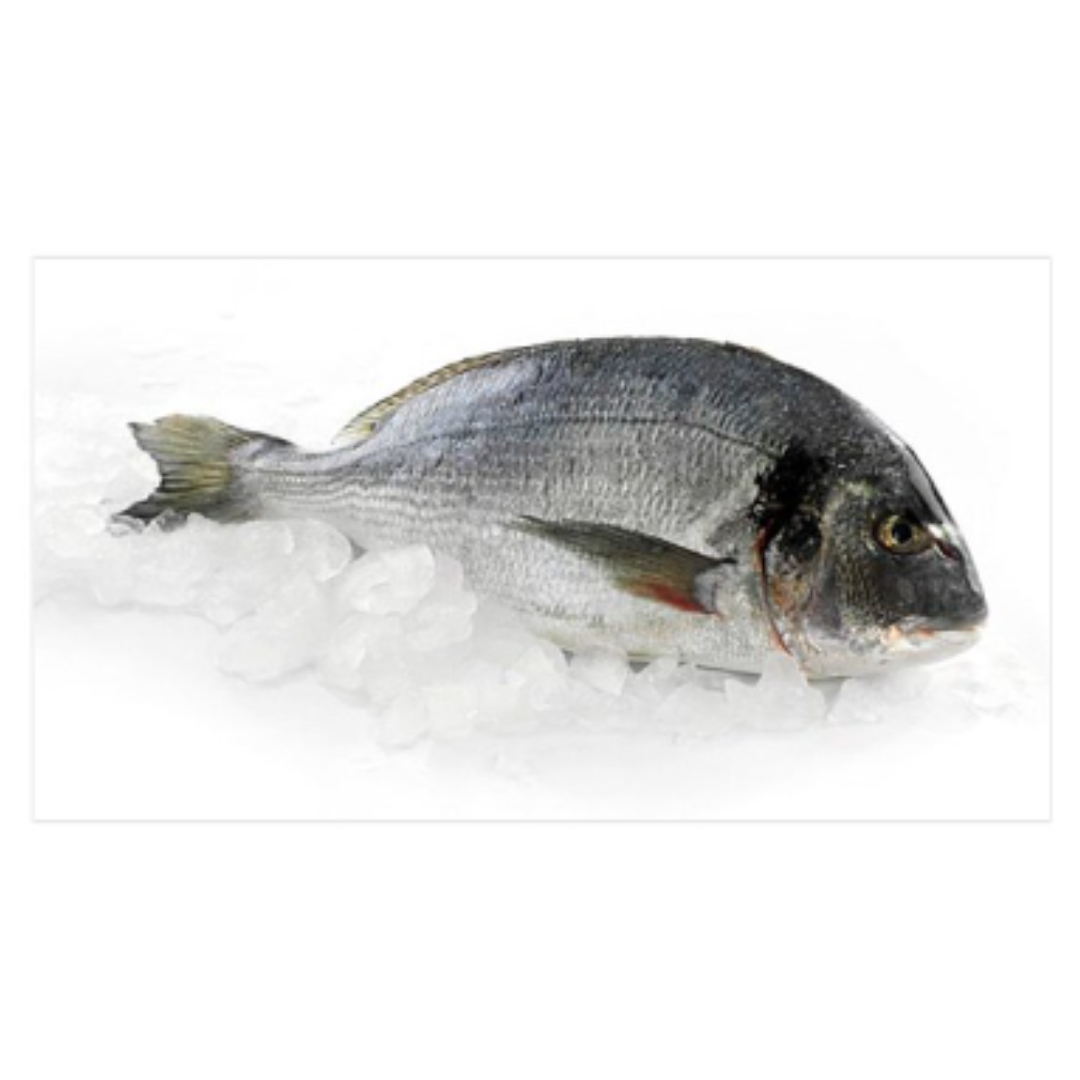 Buy Whole Seabream 1 Kg | London Grocery