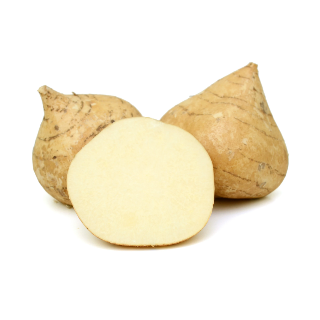 Fresh Yam Bean / Jicama | London Grocery